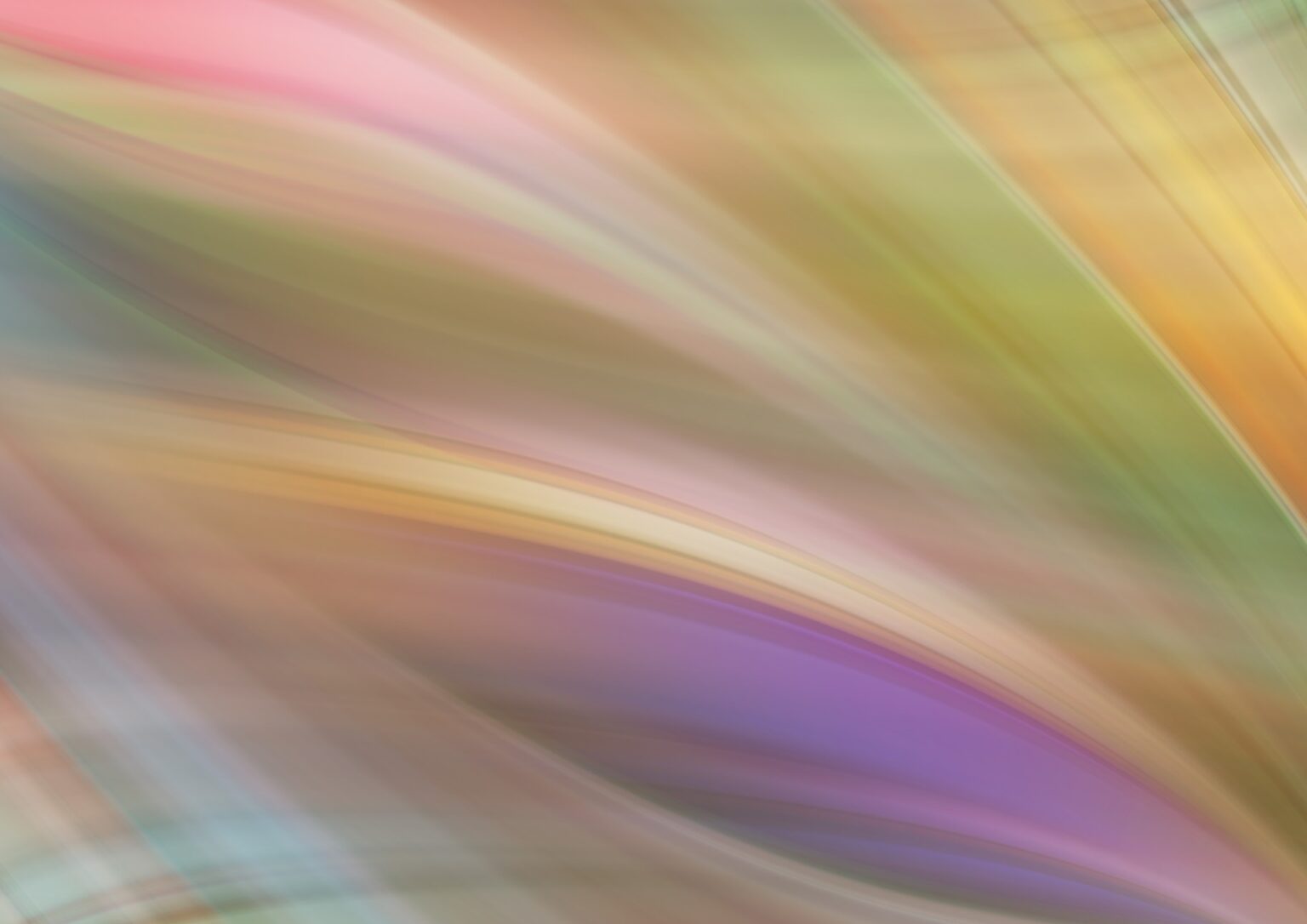 Living Resonance Leadership – Resonance Path Institute